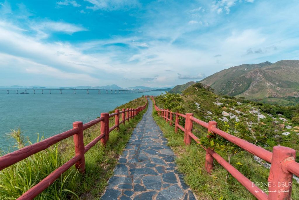 Simple Guide to Tai O Fishing Village - How To Spend Your Day in Tai O