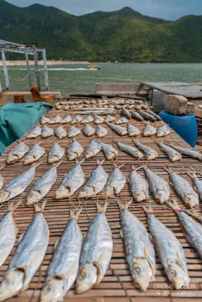 Simple Guide to Tai O Fishing Village - How To Spend Your Day in Tai O