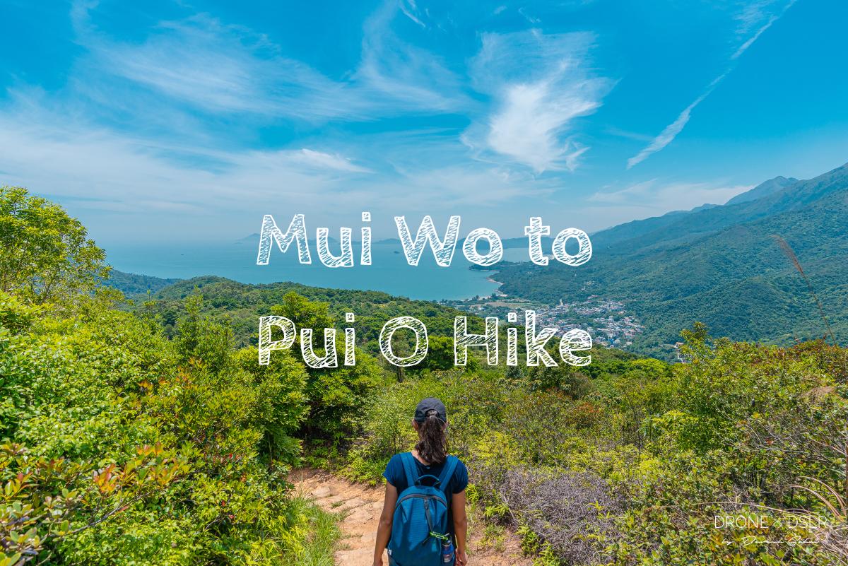 Mui Wo to Pui O Hike via Lantau Trail Section 12 | Drone & DSLR