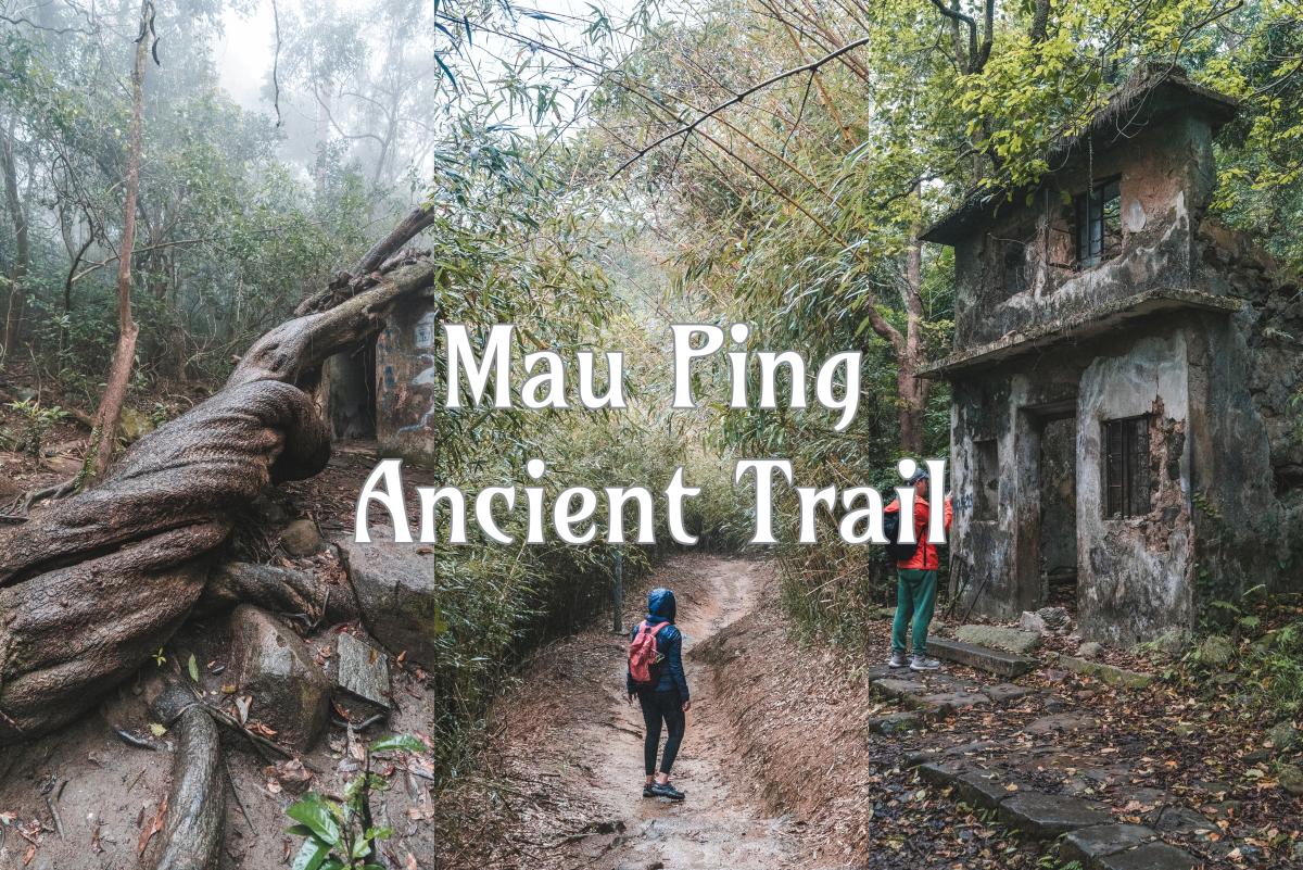 Mau Ping Ancient Trail - Tai Shui Hang to Pak Kong Hike | Drone & DSLR