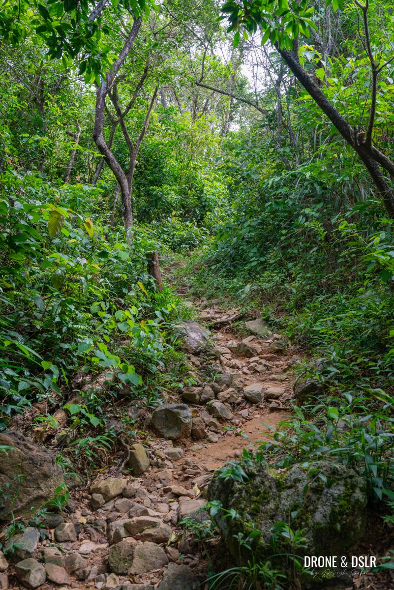 Ngau Wu Reservoir - Easy Hike to Scenic Rock Pools in Ma On Shan ...