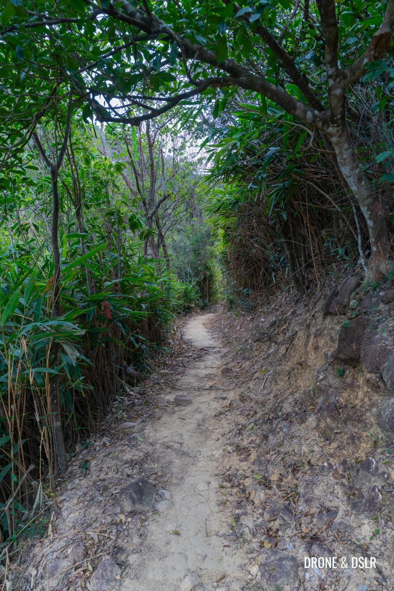 Fu Tei Country Trail Hike (with Kwun Yam Shan Detour), Tuen Mun | Drone ...