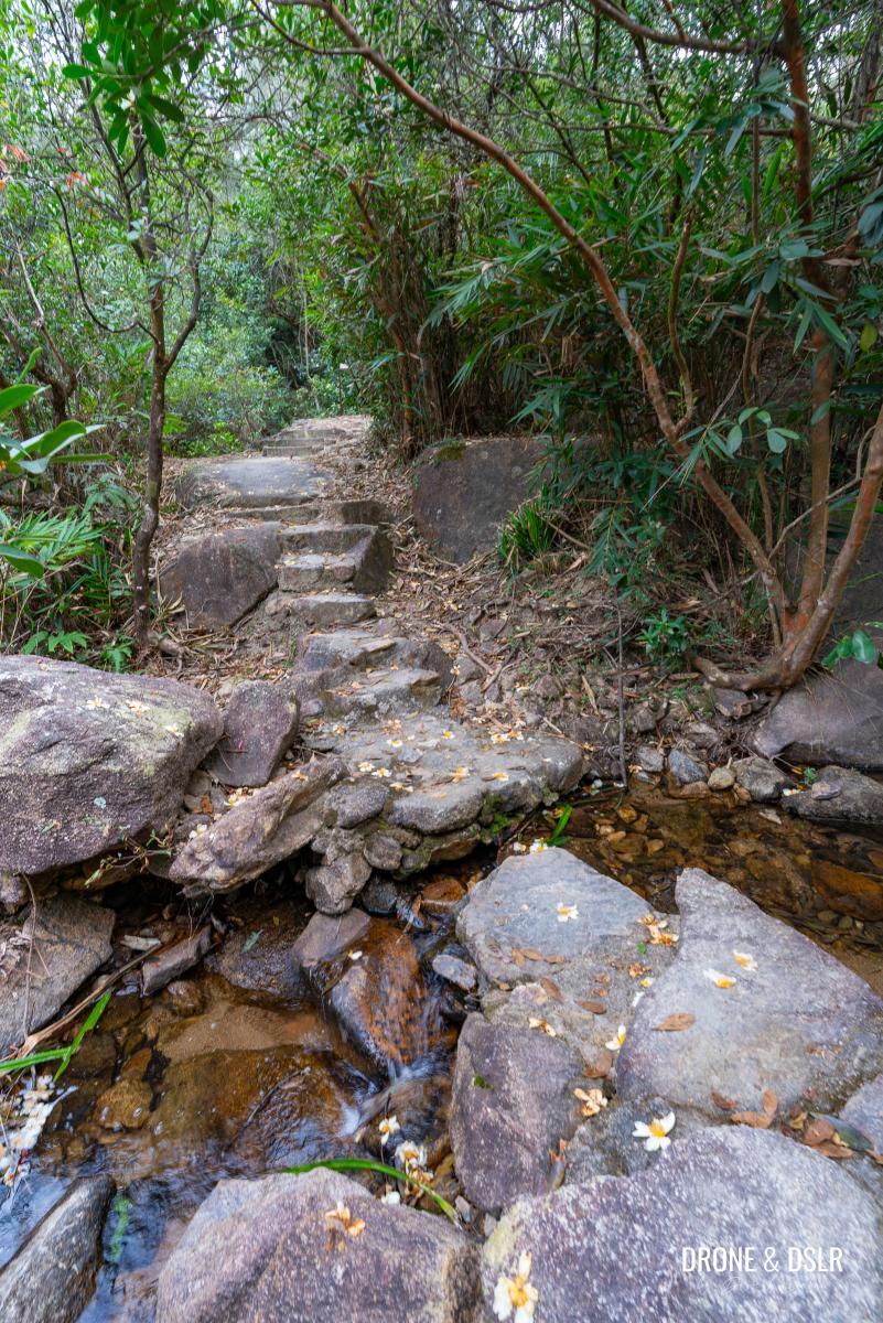 Fu Tei Country Trail Hike (with Kwun Yam Shan Detour), Tuen Mun | Drone ...