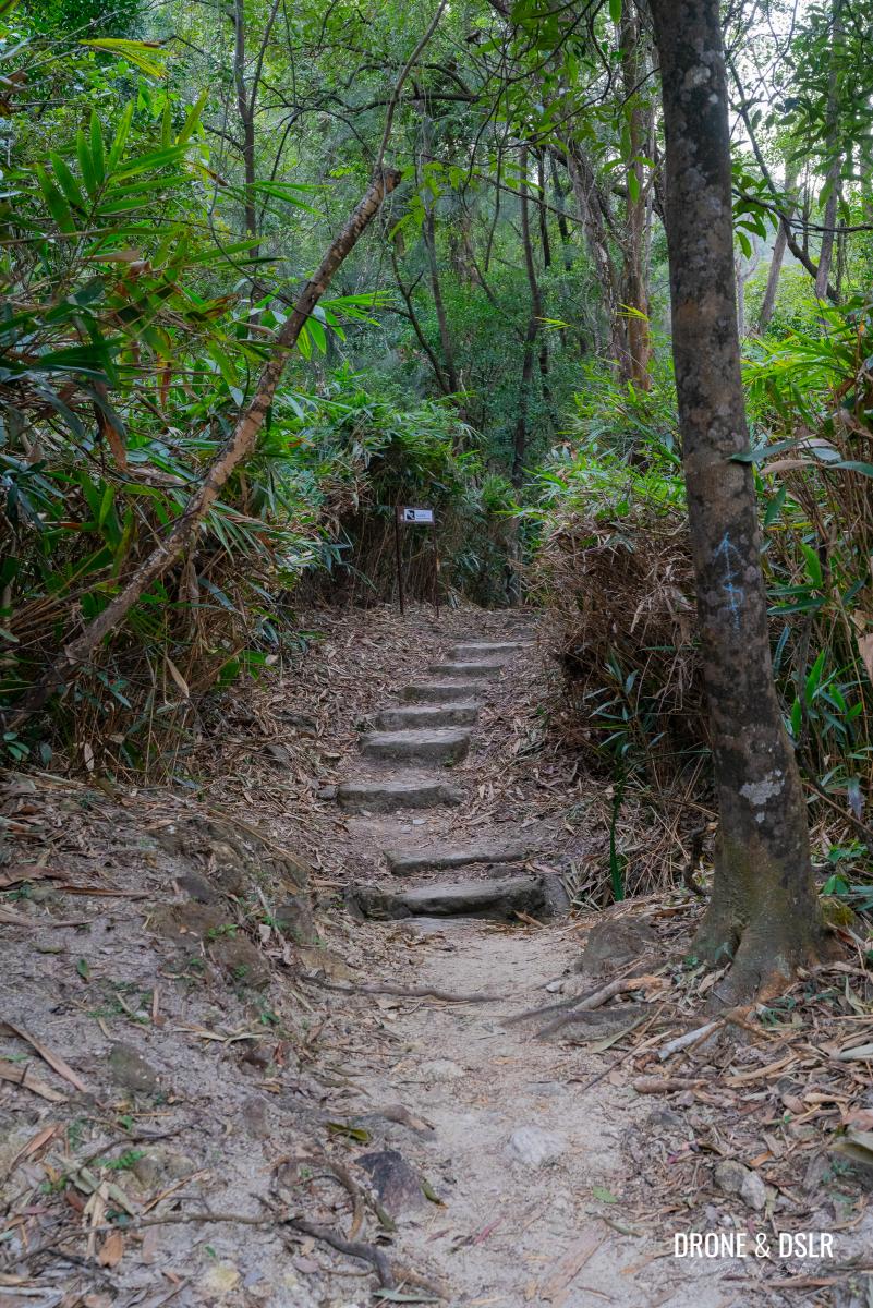 Fu Tei Country Trail Hike (with Kwun Yam Shan Detour), Tuen Mun | Drone ...