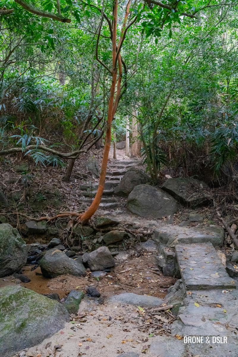 Fu Tei Country Trail Hike (with Kwun Yam Shan Detour), Tuen Mun | Drone ...