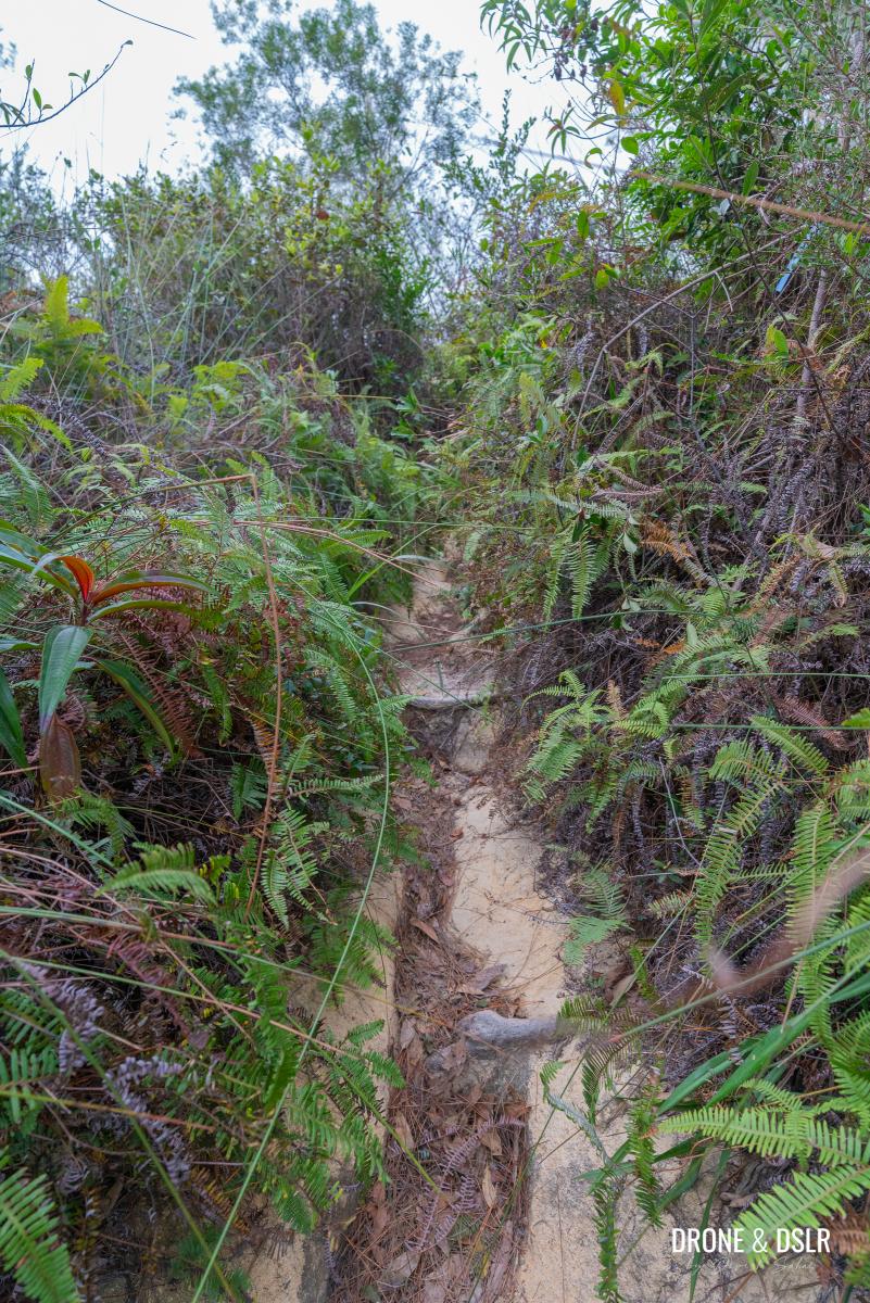 Fu Tei Country Trail Hike (with Kwun Yam Shan Detour), Tuen Mun | Drone ...