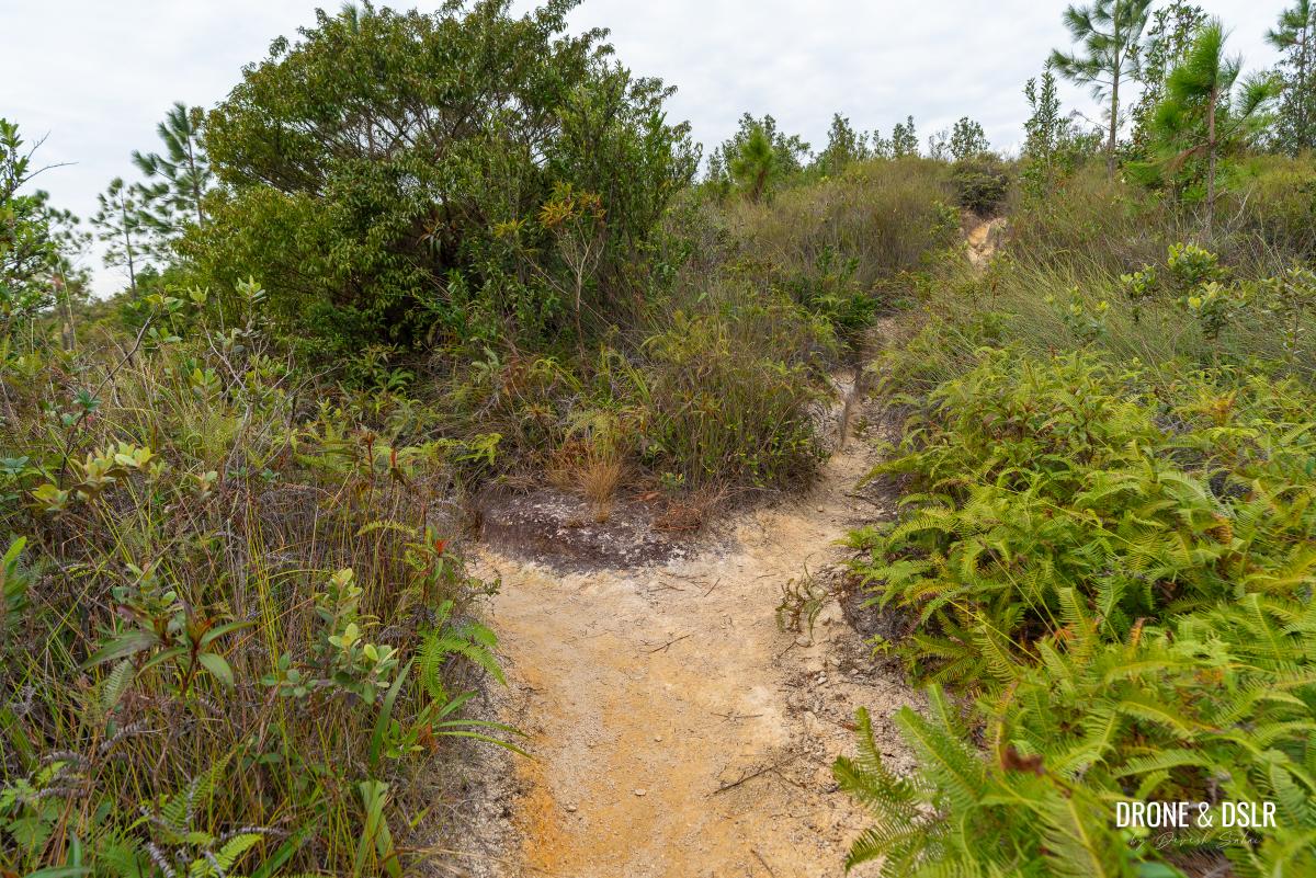 Fu Tei Country Trail Hike (with Kwun Yam Shan Detour), Tuen Mun | Drone ...